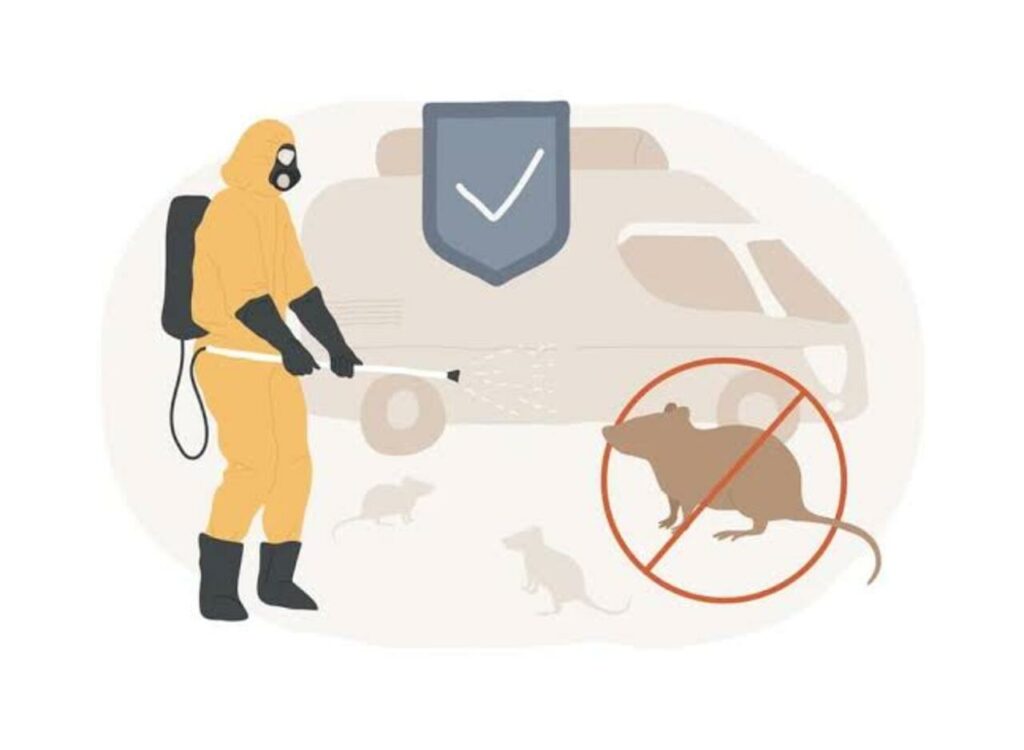 Rat Bait Stations: A Comprehensive Guide to Safe and Effective Rodent Control - ريستارت